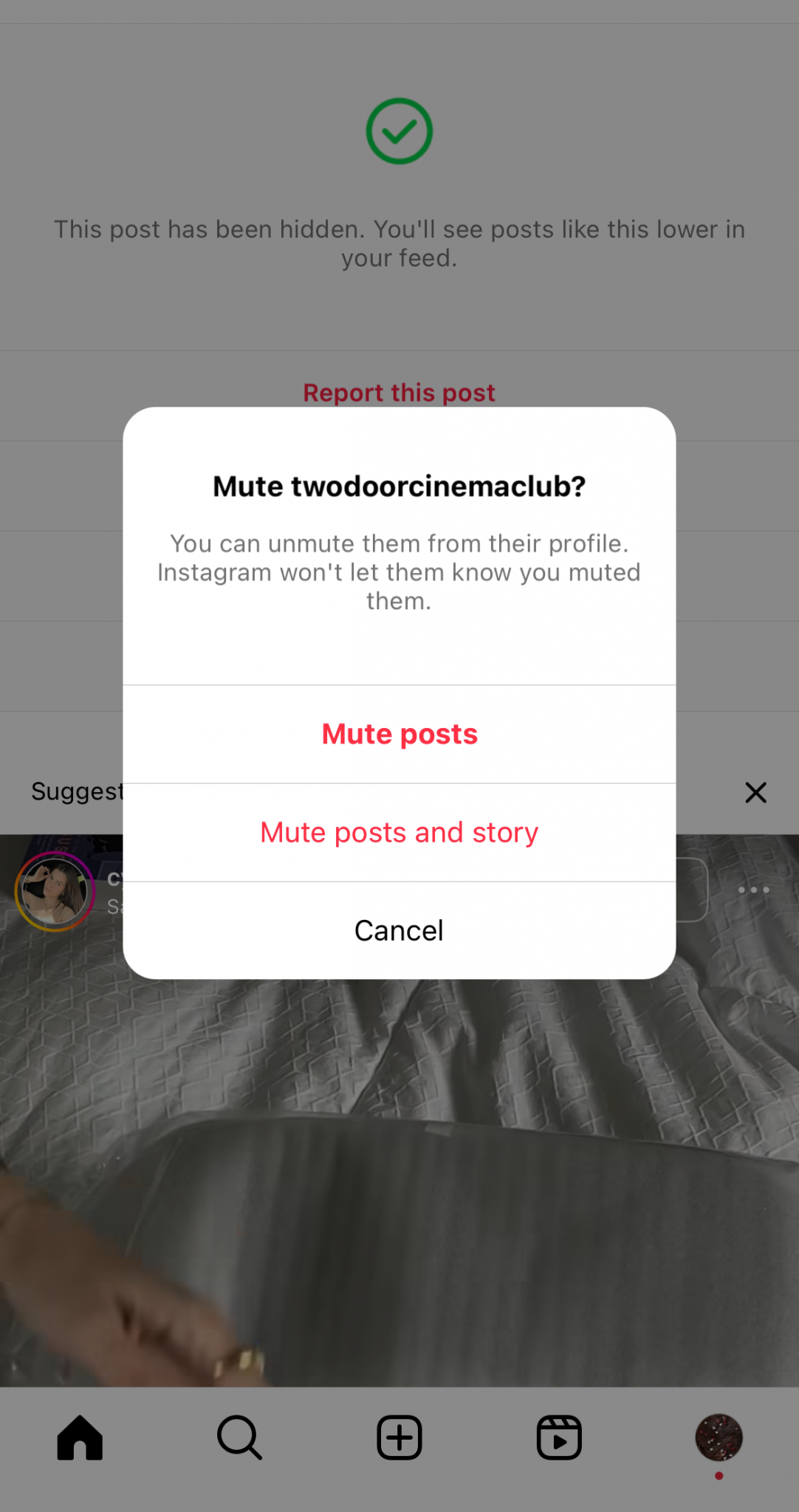 What Happens When You Mute Someone on Instagram