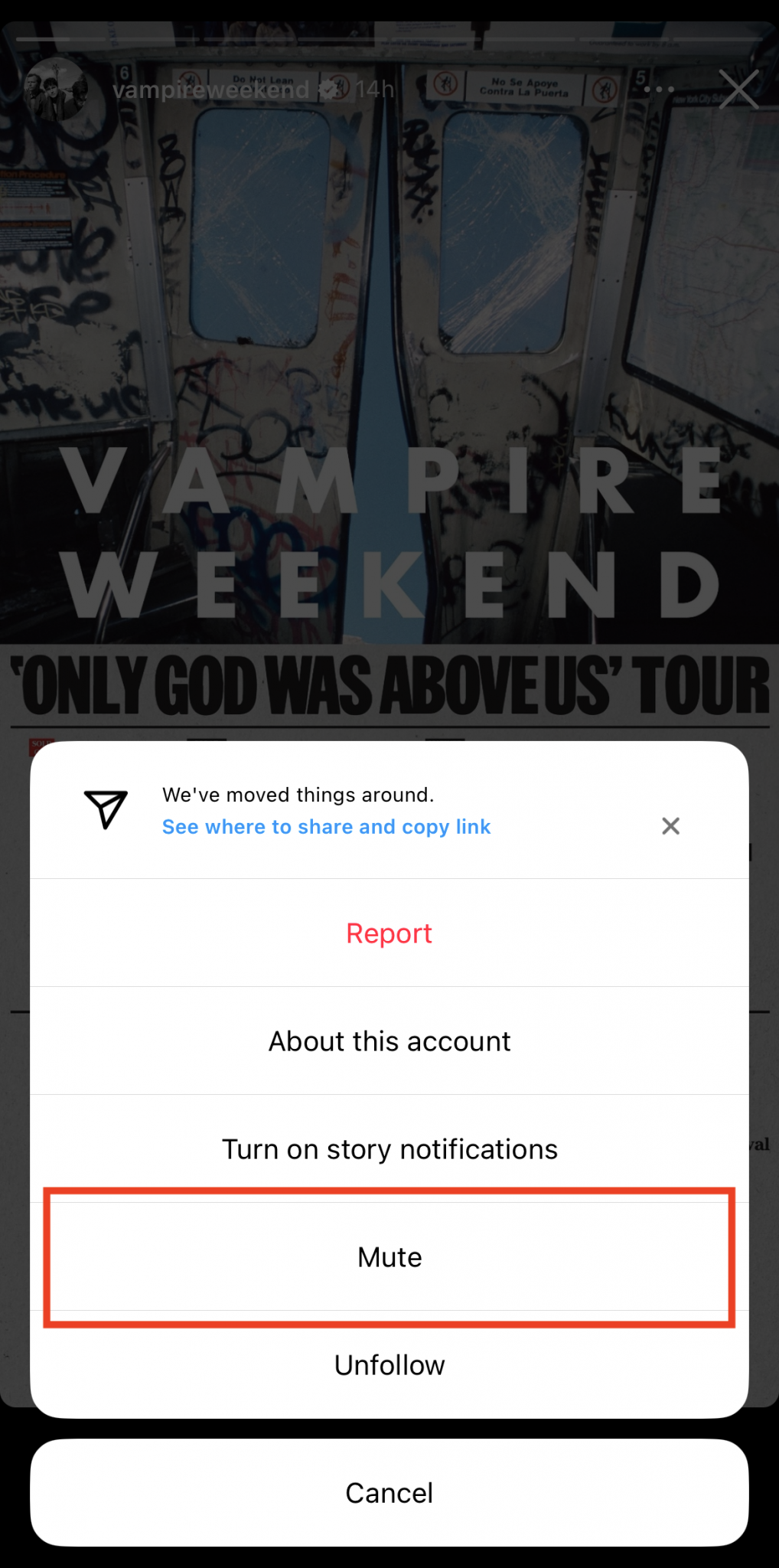 What Happens When You Mute Someone on Instagram