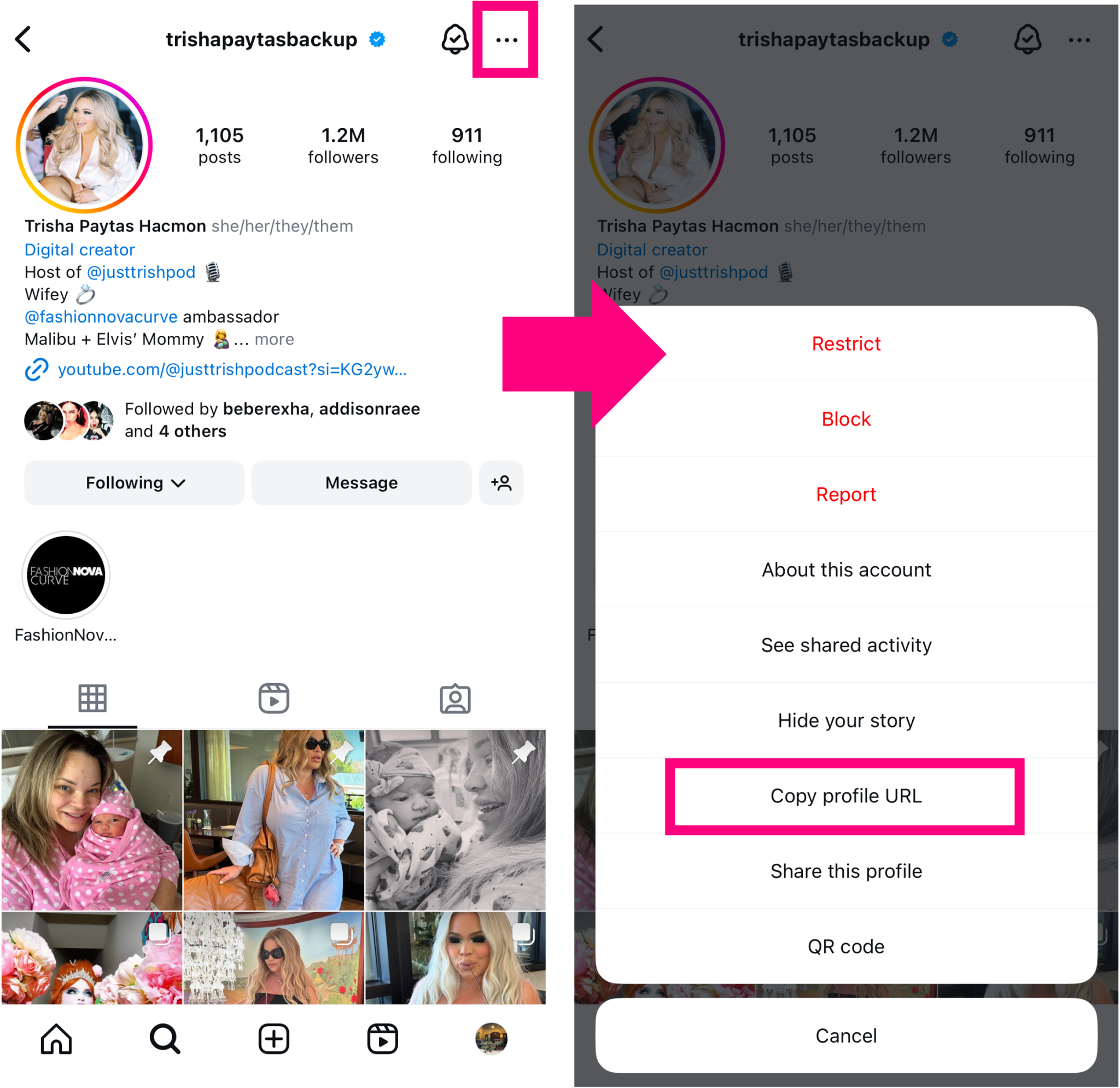 How Do You Copy a Link on Instagram | Path Social